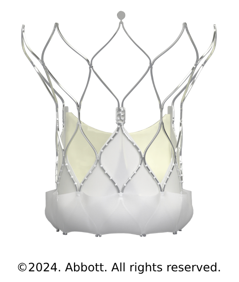 ENVISION Trial of Abbott Navitor TAVR System in Low- and Intermediate ...